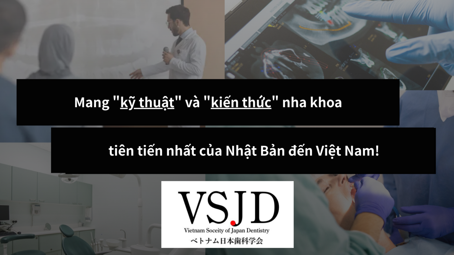 VSJD Cộng đồng Nha khoa Nhật Bản tại Việt Nam | Cộng đồng Nha khoa Nhật ...